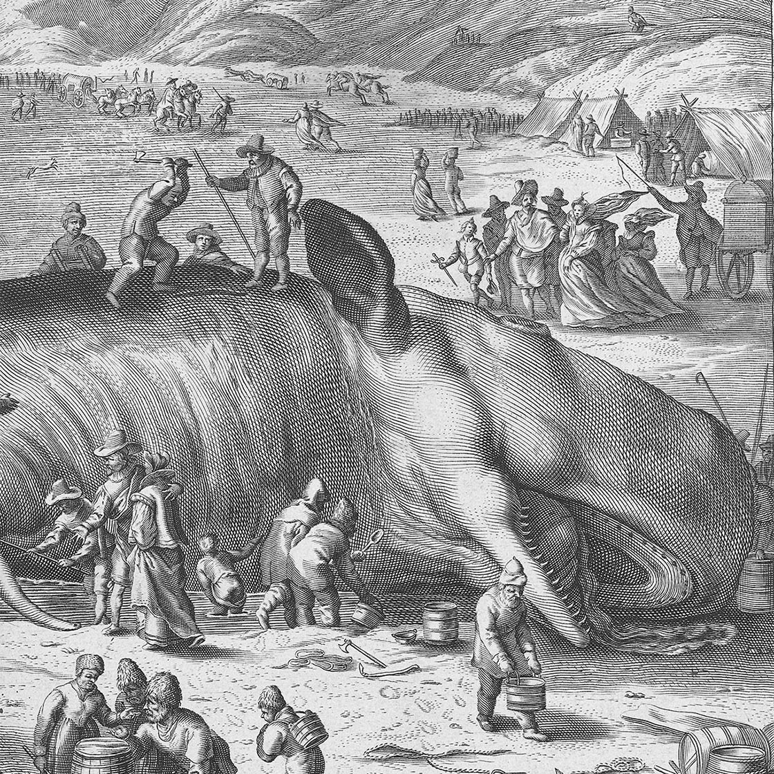 This Huge Leviathan (Emblem 42) | Elemental Edition