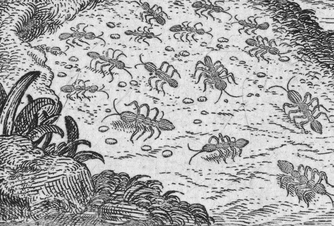 The Pismire | Elemental Edition