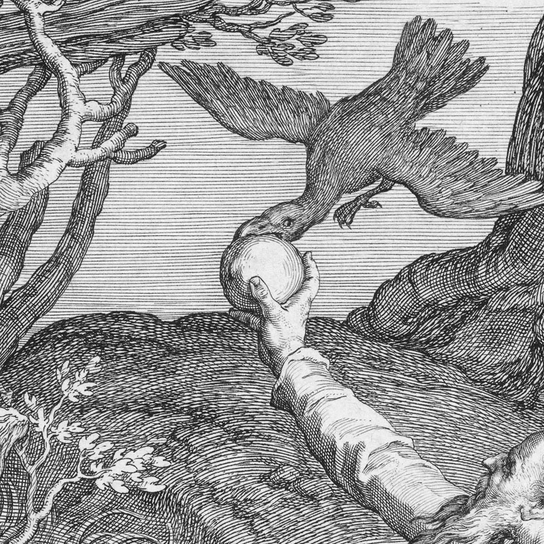 The Dubious Raven (Emblem 11) | Amplified Edition